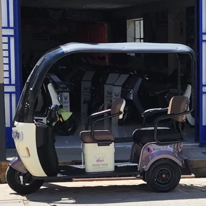 Trimoto eléctrica New Family XP con techo - WHINSTHON Motos eléctricas ...