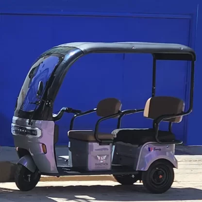 Trimoto eléctrica New Family XP con techo - WHINSTHON Motos eléctricas ...